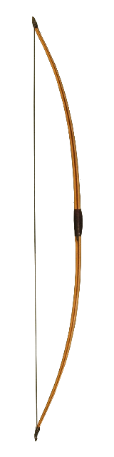 Les différents types d’arc | Compagnie d'Arc de Villiers-sur-Marne